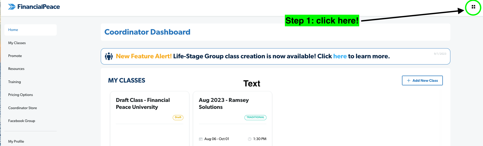 How do I switch to the member view? – Financial Peace Admin